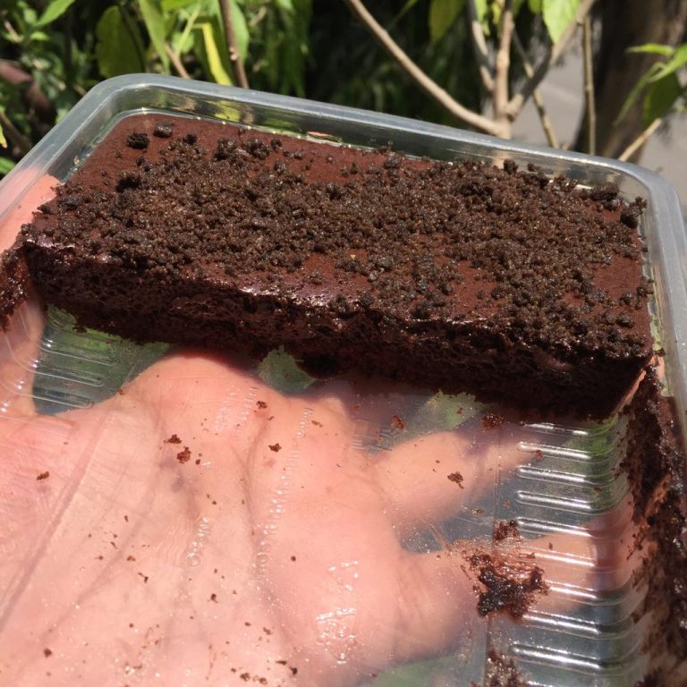 Chocolate Mousse Cake in a Tub - Masala Monk