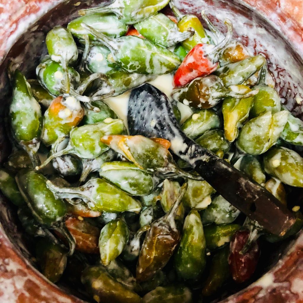 Curd Chilli (Mor Milagai) - Masala Monk