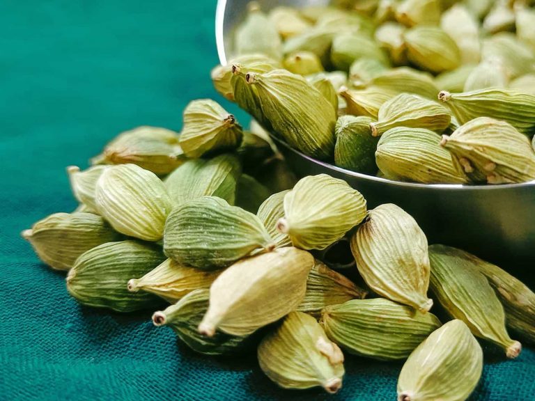 Cardamom Benefits for Men: Enhancing Vitality and Well-being - Masala Monk