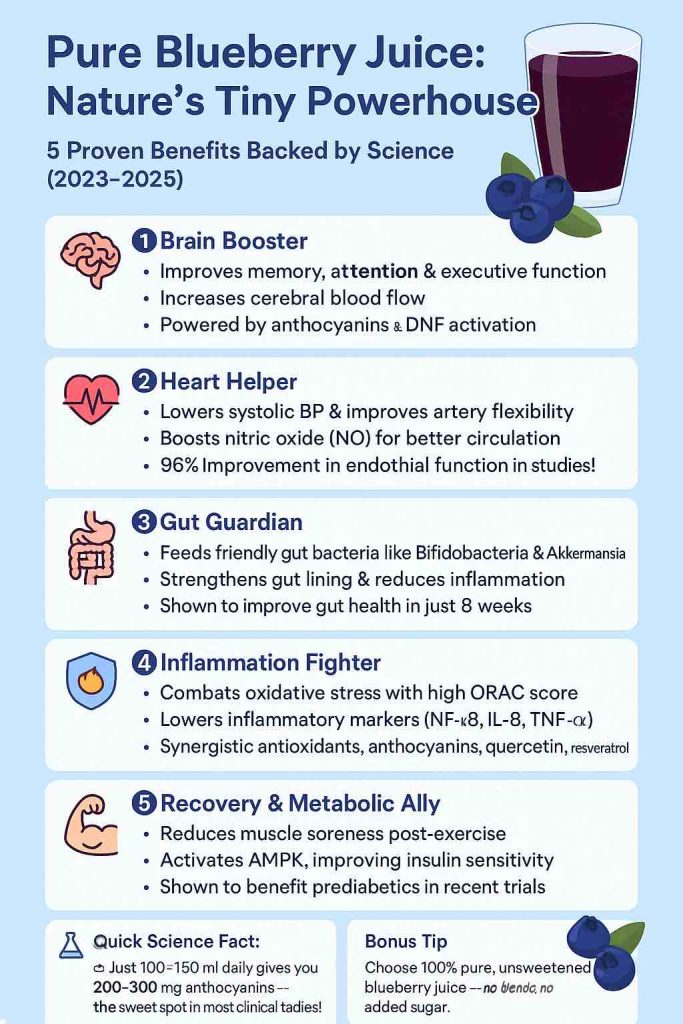 Pure Blueberry Juice: 5 Ways It Boosts Your Well-Being - Masala Monk