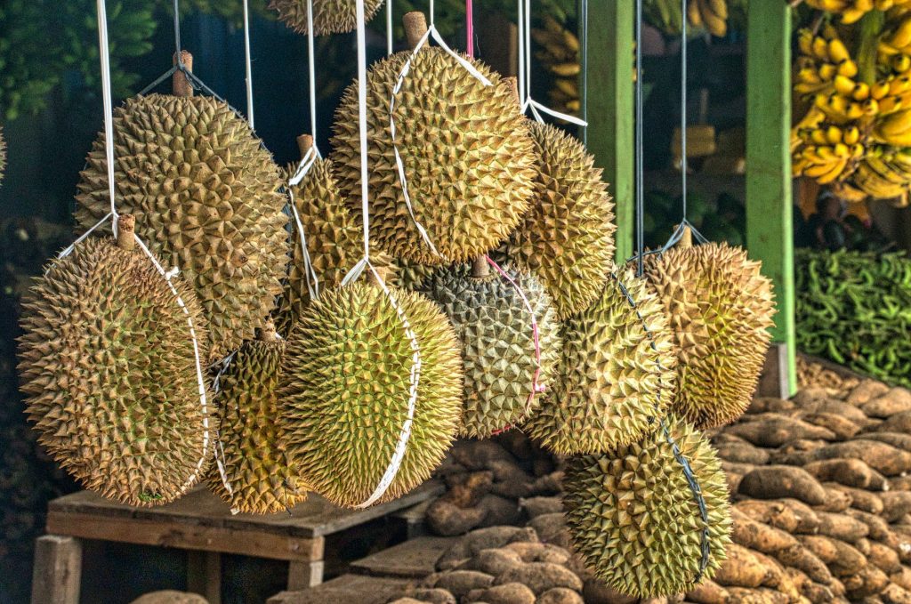 The Durian - Nutrition, Benefits, and 5 Practical Ways for Weight Loss ...