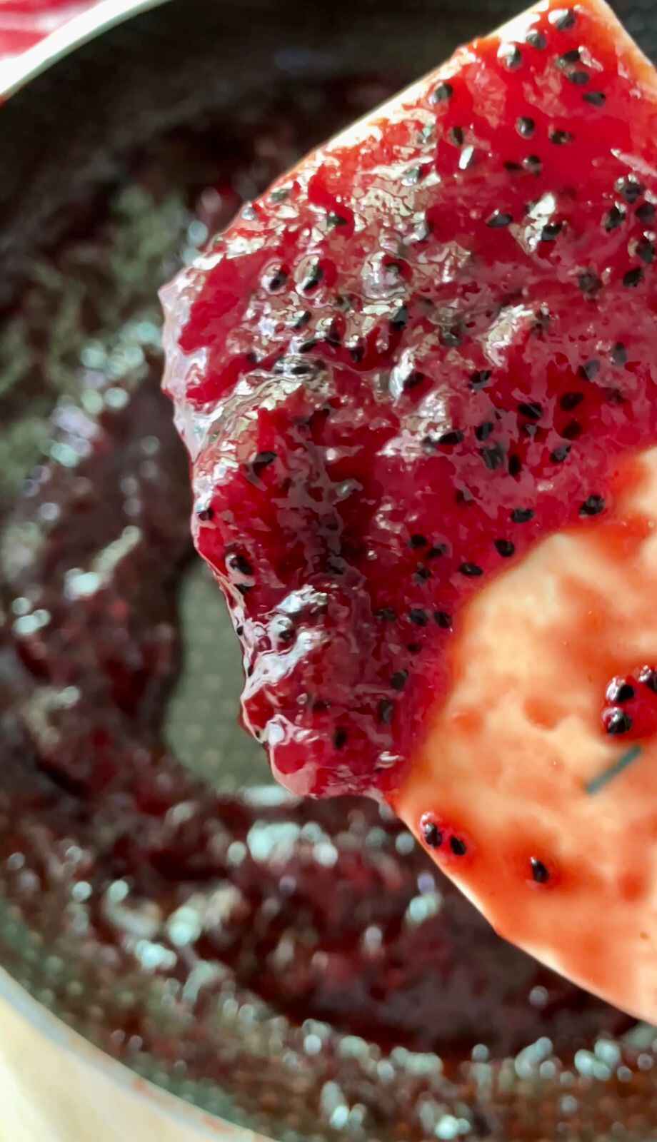 Spiced Plum and Dragon Fruit Compote with Jaggery - Masala Monk