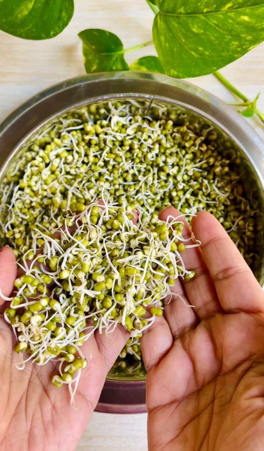 How to sprout moong overnight with one secret step - Masala Monk