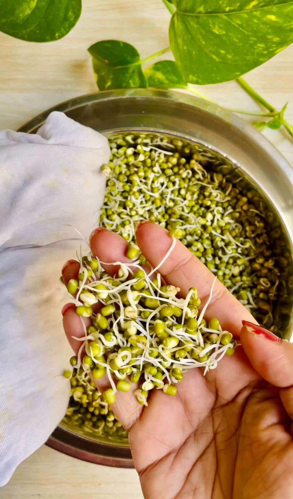 How to sprout moong overnight with one secret step - Masala Monk