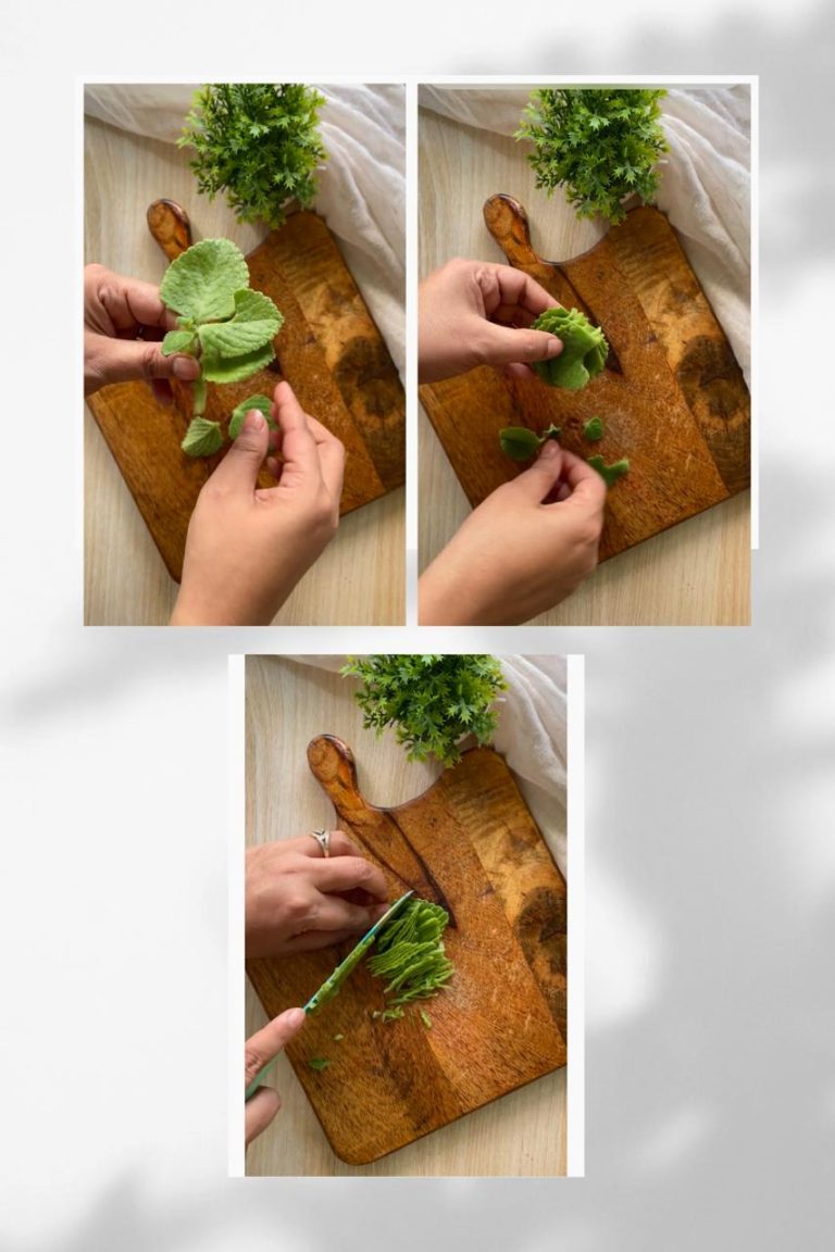 Ajwain leaves Paratha| Carom leaves flatbread Recipe - Masala Monk