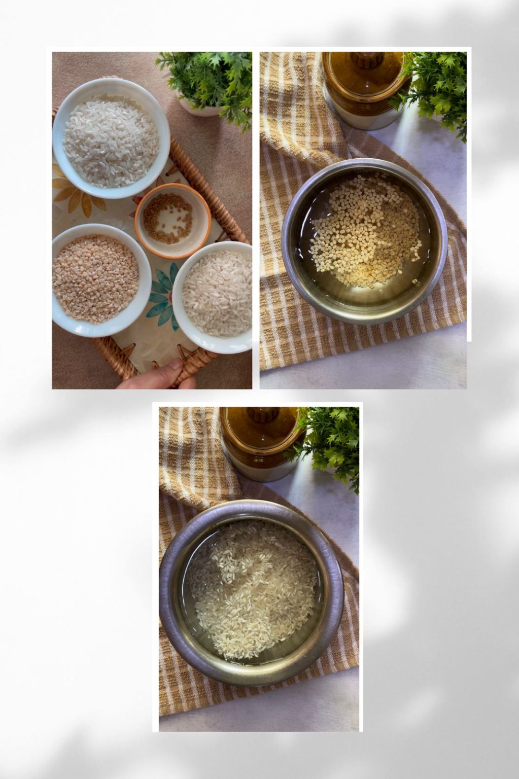 Perfect Dosa Idly Batter: Your Guide to Fluffy Idlis and Crispy Dosas ...